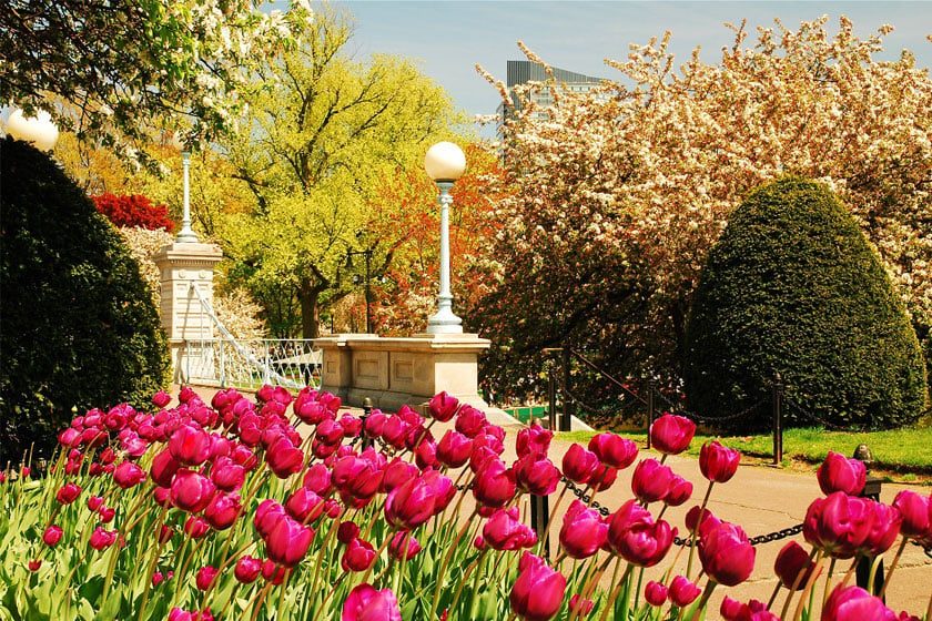 Where to See Spring Flowers in Boston: Gardens & Blooms - Revere Hotel